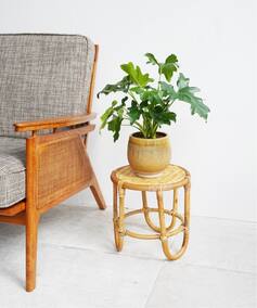 ACME Furniture｜アクメ ファニチャー｜デイリーのベストセラーランキング（メンズ）｜BAYCREW’S STORE