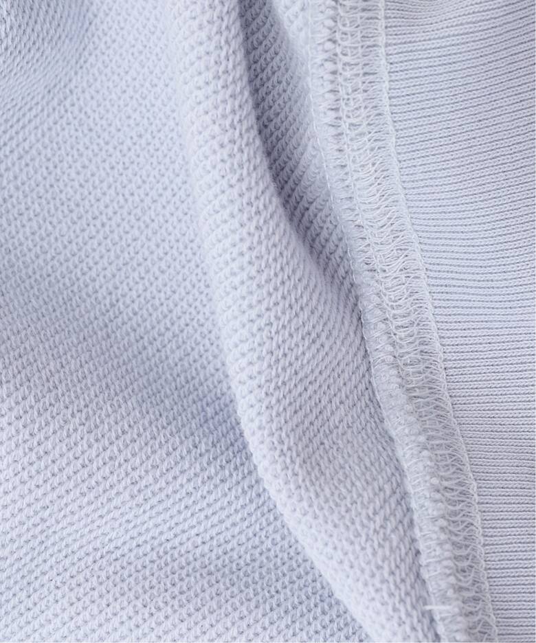 LIGHTWEIGHT TERRY CLASSIC HOODIE（LWT)（パーカー）｜REIGNING CHAMP（レイニングチャンプ）の ...