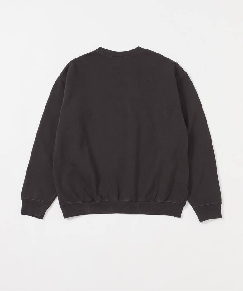SCREEN STARS "GREMLiNS" PIGMENT CREW（スウェット）｜JOINT WORKS（ジョイントワークス）の通販 ...