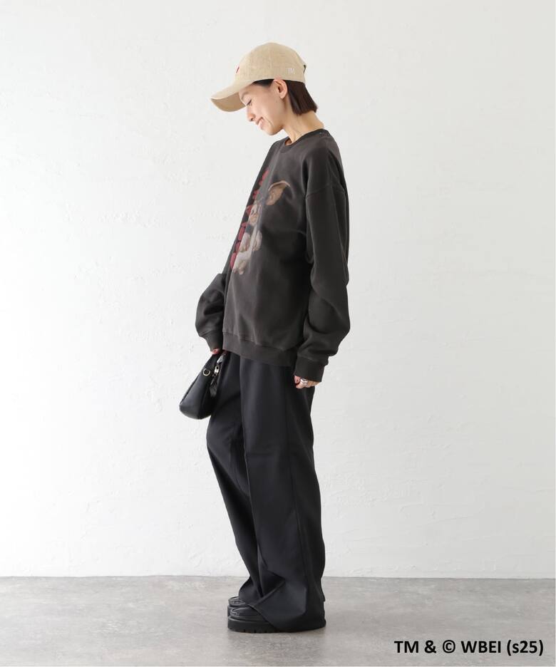 SCREEN STARS "GREMLiNS" PIGMENT CREW（スウェット）｜JOINT WORKS（ジョイントワークス）の通販 ...
