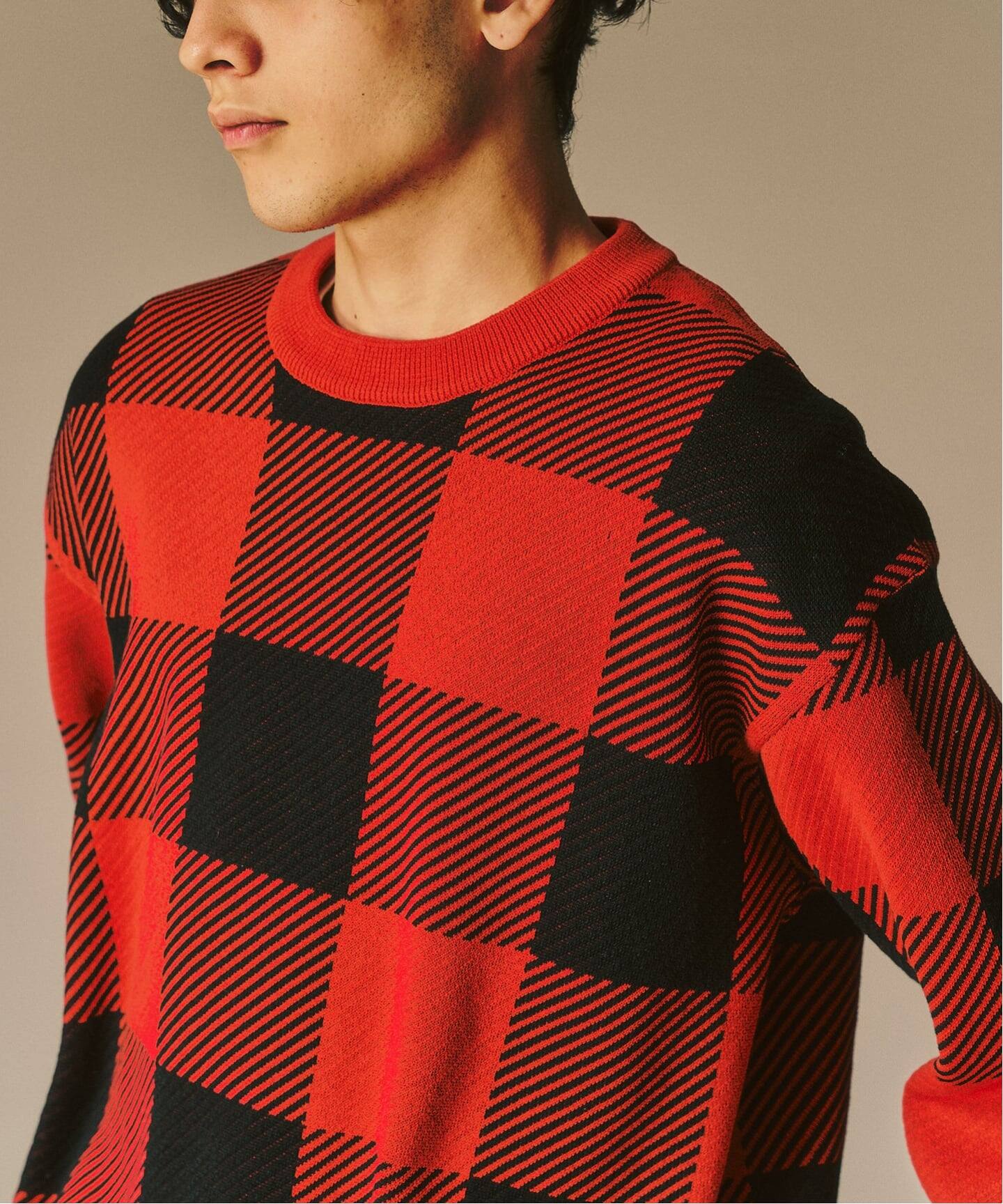 カマルグチェック クルーネック（ニット／セーター）｜417 EDIFICE