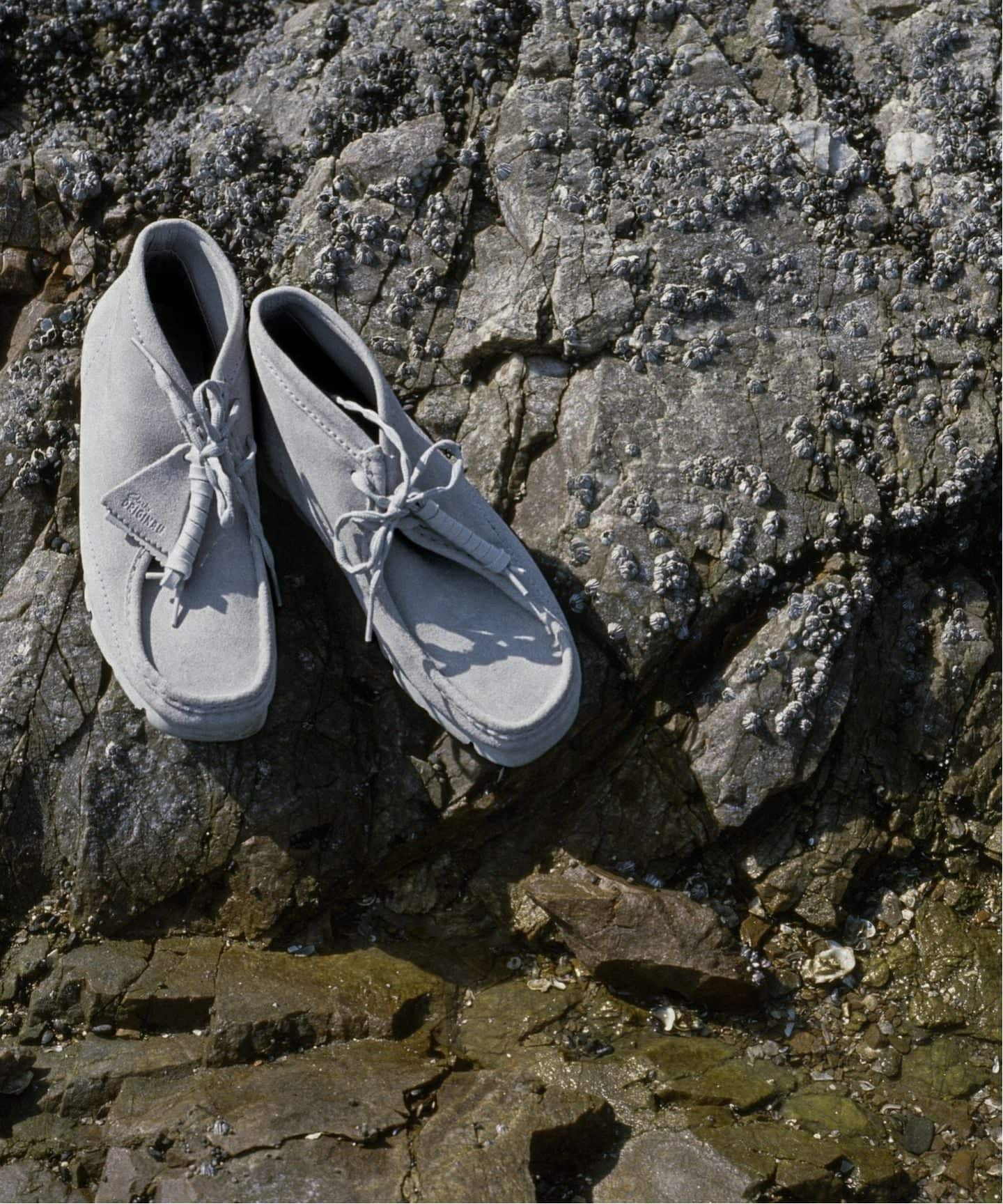 CLARKS ORIGINALS / クラークス オリジナルズ × PAF WALLABEE BT PAF